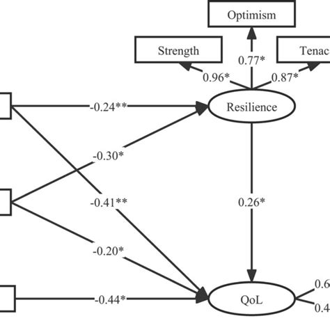 Mediated Effects Model For Qol Model Adjusted For Age Sex Education