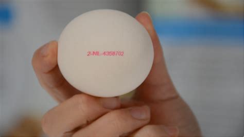 Ei Code Het Scharrelei