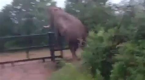 Prasad S N 🌍 Linkedin‘de Startup Motivation Energy Founders