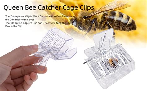 Akayandtina Queen Bee Marking Kit 10 Pcs5 Queen Bee Marking