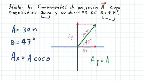Dominando El Módulo De Un Vector Guía Completa Todo Calculadoras