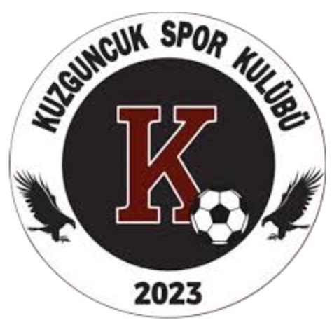 Serkan Şengör Kariyer