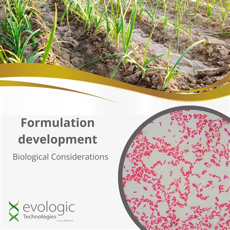 Sustainability Sustainablefoodproduction Foodproduction Food