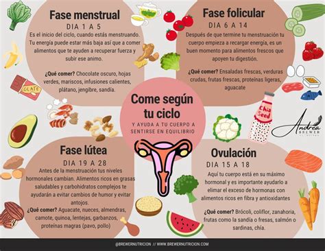 Ciclo Menstrual NutriciÓn Para Cada Fase Mircasport