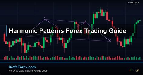 คู่มือทำกำไร Harmonic Patterns เจาะลึกเทรด Forex แบบเต็มฉบับ