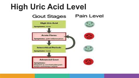 Uric Acid And Food Pptx