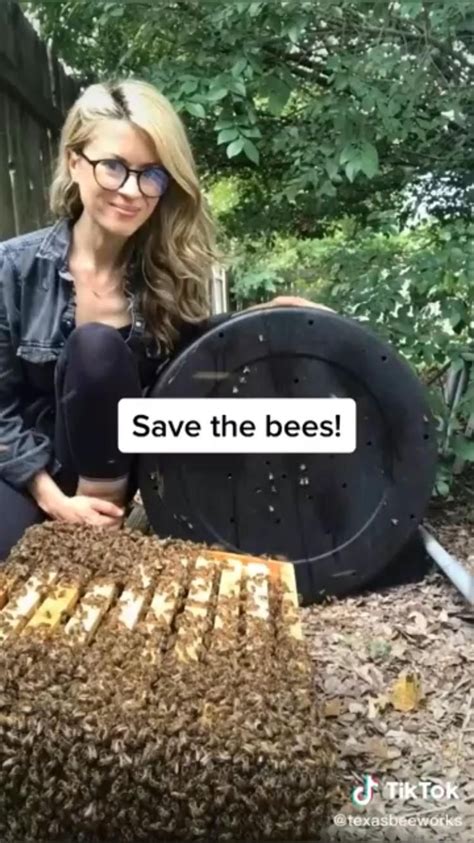 Sweet Honey Bees Artofit