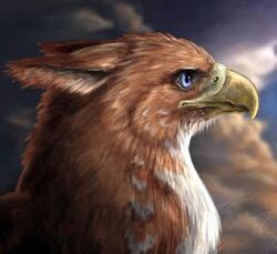 Grifflin Skylandersfanon Wiki Fandom