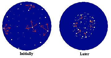 The Universe