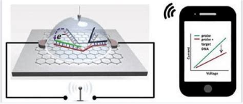 Biosensor Dna Sensor Measuring Public Life