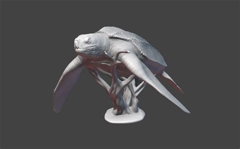 Leatherback Sea Turtle Bust By Johnson Martin Download Free Stl Model