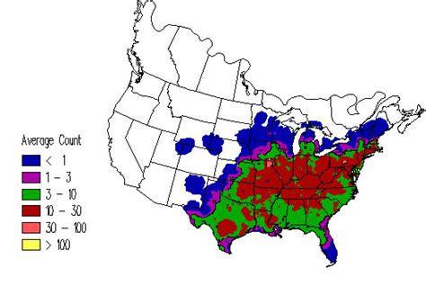 Tufted Titmouse Ebirdr