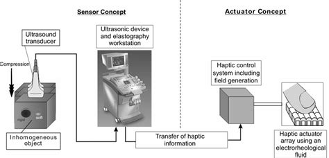 Scheme Of The Haptic Sensor Actuator System Hasasem Download Scientific Diagram