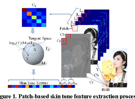 Figure 1 From Patch Based Skin Color Detection And Its Application To Pornography Image