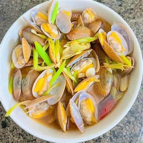 Sò Lụa Bao Nhiêu 1 Kg Cách Chọn Bảo Quản Và Sò Lụa Làm Món Gì Ngon