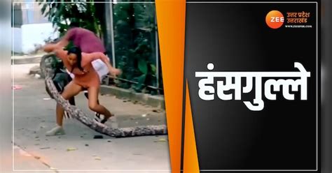 Million Hits Best Pranks Of Snake Python Shocking Video Viral Epic