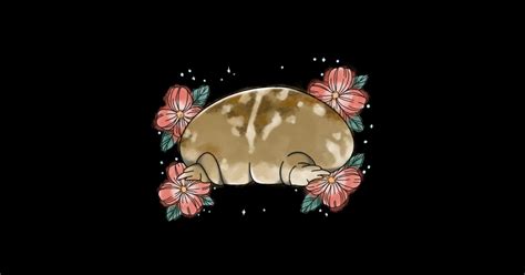 Thicc Frog Frog T Shirt Teepublic