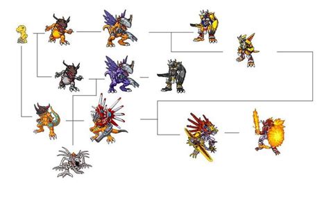 Digimon Evolution Chart Agumon
