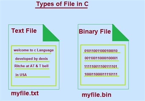 Types Of Files In C Programming