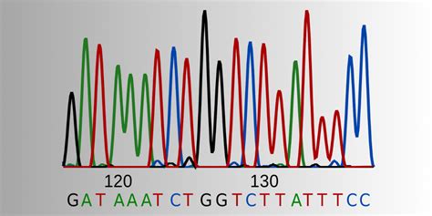 Dna Sequencing Decoding The Blueprint Of Life 2024 Fullsci