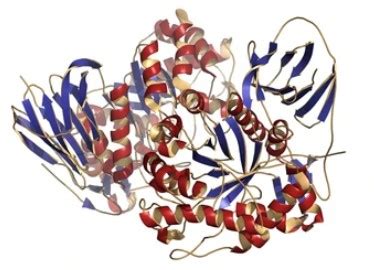 High Sensitivity Human Glucosylceramidase Elisa Kit Creative Diagnostics