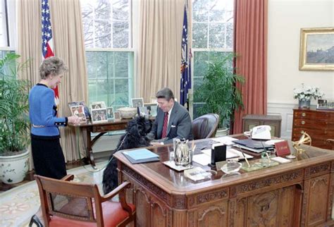 Loller Trump Is Slaying At Davos Page 3 Freeones Forum The