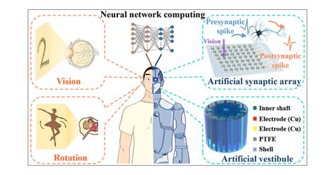 bioinspired artificial motion sensory system for rotation recognition