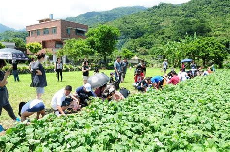 讓台灣囡仔的青春與汗水有價值！3大台灣在地農莊用農作「說故事」