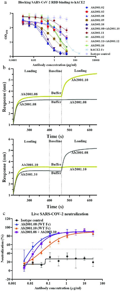 Characterization Of Potential Blocking Antibodies A Blocking Assay