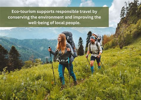 Sustainable Cabin Rentals Eco‑tourism Done Right