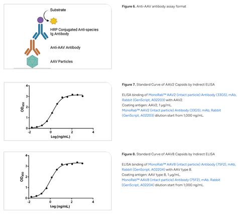 Anti Aav Antibodies 고마바이오텍