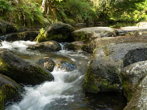 Pgg Wrightson Real Estate Pgg Wrightson Real Estate