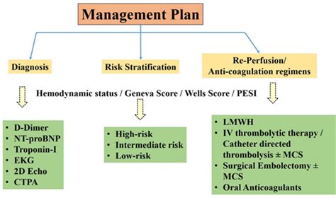 Pulmonary Embolism Treatment Algorithm