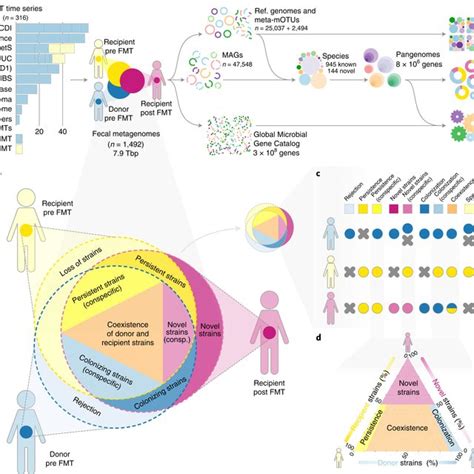 Study Design And Workflow Overview A We Analyzed A Dataset Of 316 Fmt