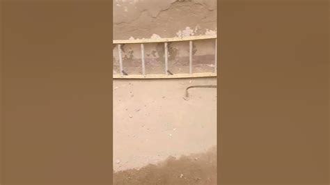 Wut Da Hellll Youtube