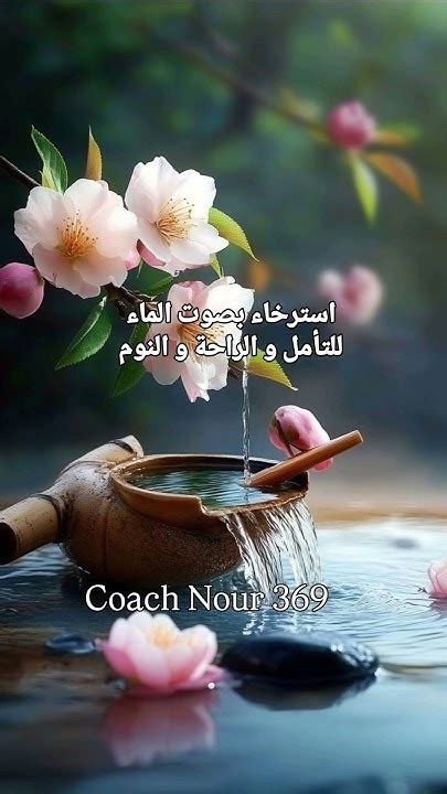 Relaxing Water Healing كوتشنور Youtube