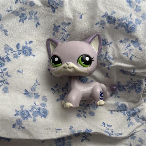 Lps Coloring Pages Short Hair Cat 2025