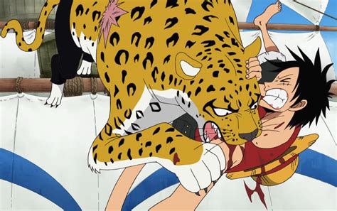 Neko Neko Ni Mi Model Leopard In One Piece