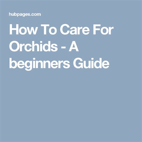How To Care For Orchids A Beginners Guide Orchid Care Beginners