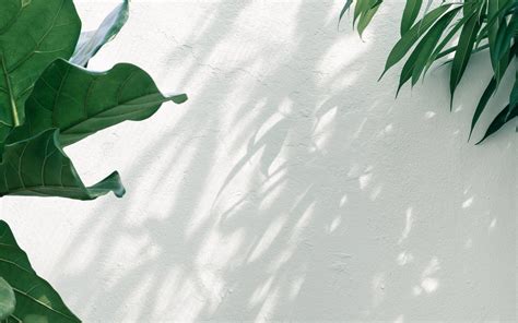 Top 999 Aesthetic Ipad Wallpaper Full Hd 4k Free To Use