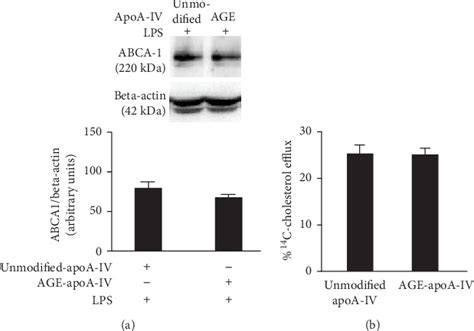 Advanced Glycated Apoa Iv Loses Its Ability To Prevent The Lps Induced Reduction In Cholesterol