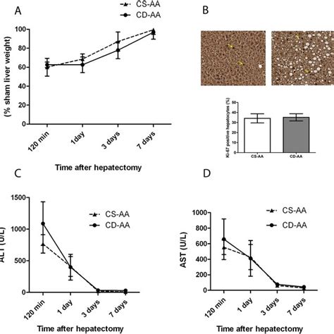 Partial Hepatectomy Accelerates The Progression Of Nafld A