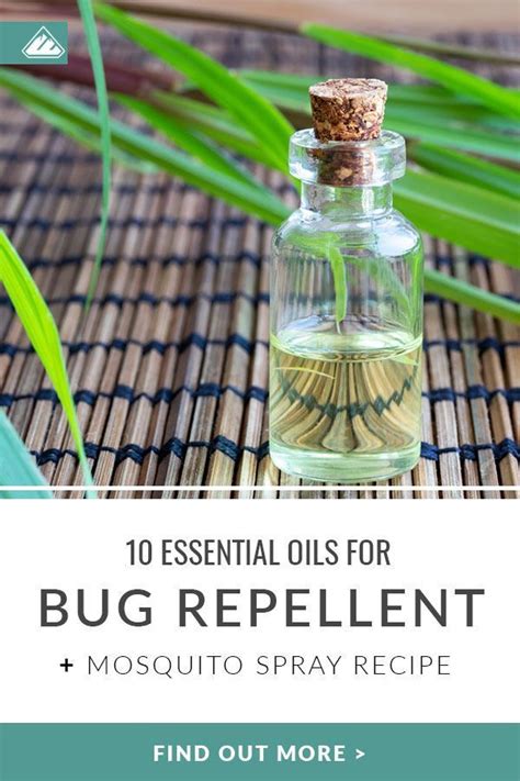 10 Essential Oils For Repelling Bugs And Diy Recipes Essential Oil