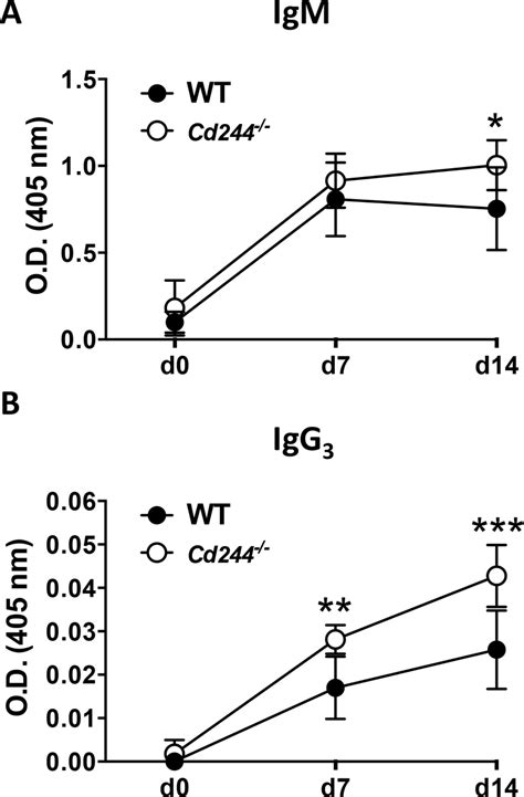 The Igm Response To Immunization With A T Independent Antigen Is
