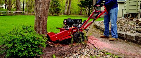 Marcos Mowing Stump Removal Stump Grinding Thunder Bay