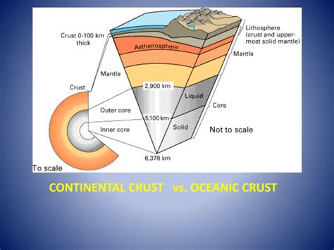 Oceanic Crust Is Younger Than Continental Crust Detroit Chinatown