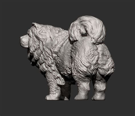 3d File Chow Chow 3d Print Model 🐕 ・model To Download And 3d Print・cults