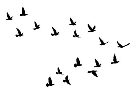 Flying Bird Vector Art Icons And Graphics For Free Download