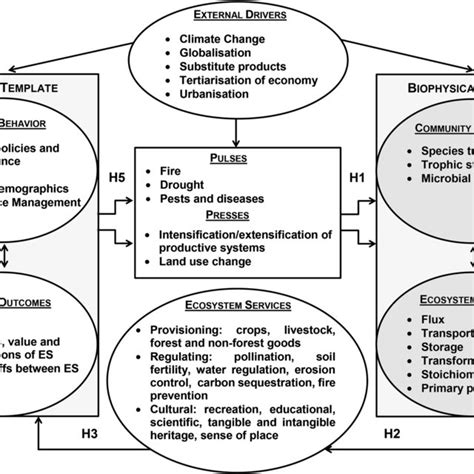 Ppd Framework For Ltser Montado Adapted From Collins Et Al 2011 The Download Scientific