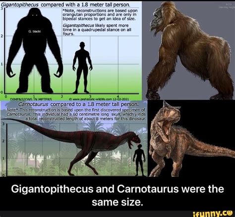 Gigantopithecus Memes Best Collection Of Funny Gigantopithecus